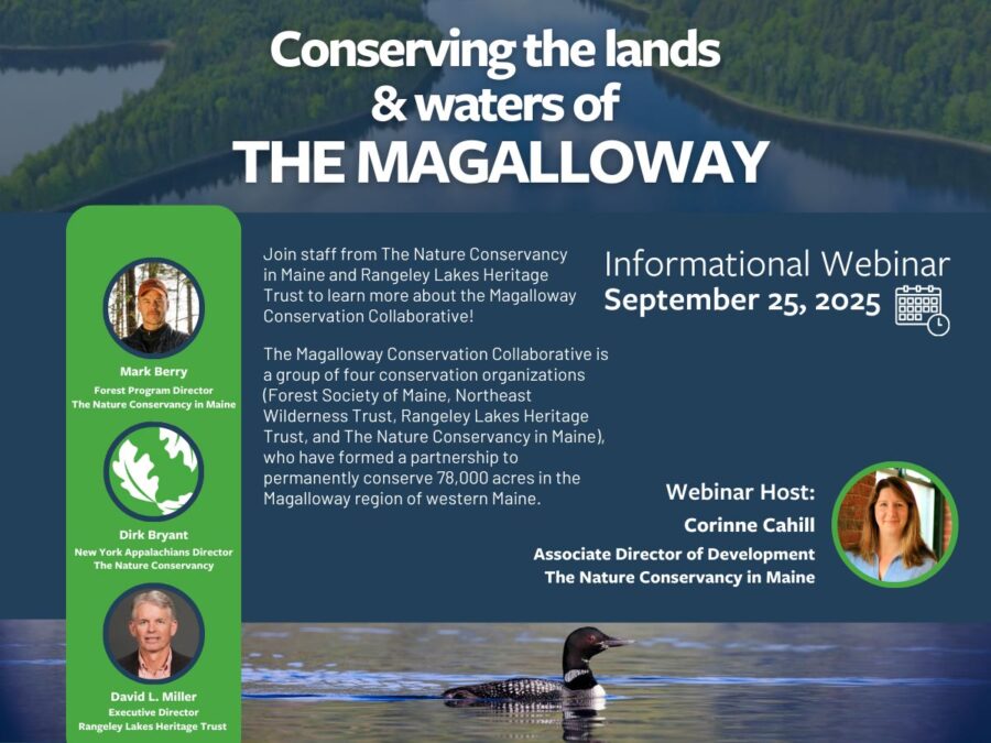 The Magalloway Conservation Collaborative Maine